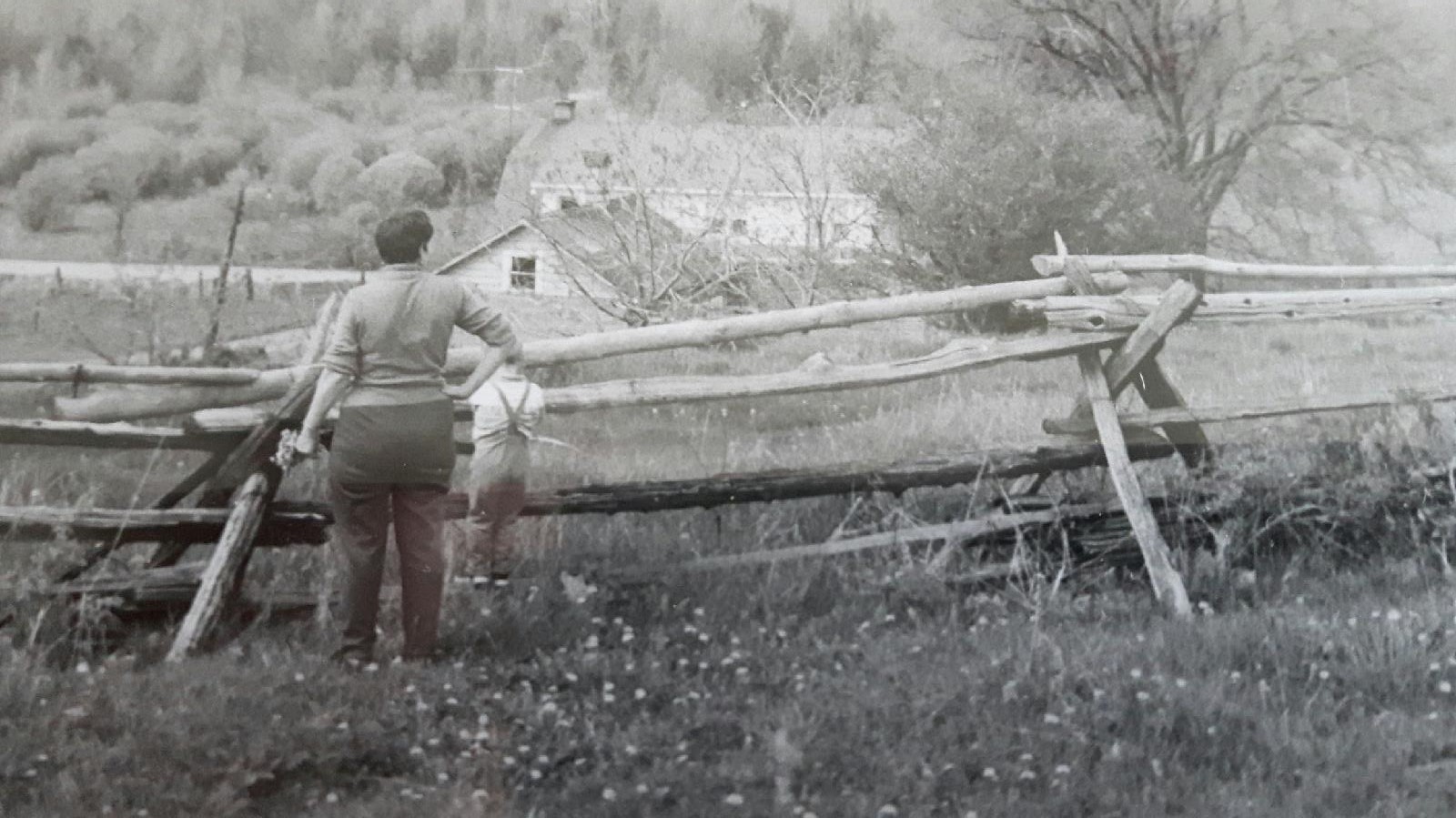 The Story Behind Our Name – Forgotten Orchard Farm